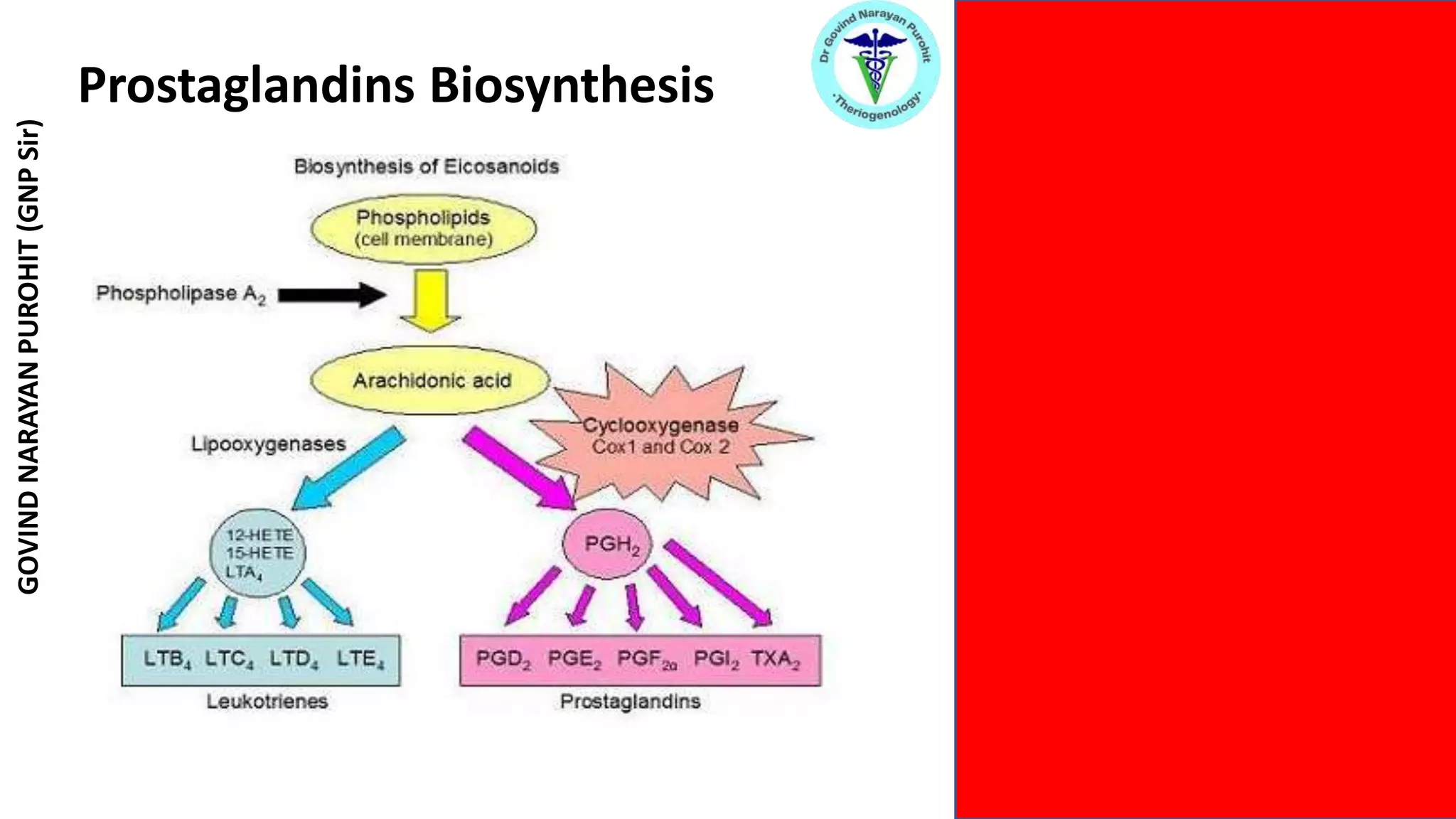 Mechanism Of Action And Clinical Use Of Hormones Ppt