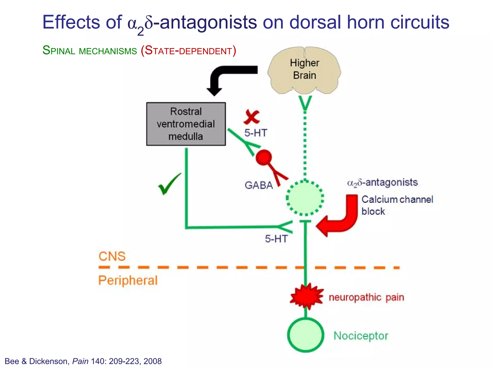 Mechanism of action of analgesics (2012) | PDF
