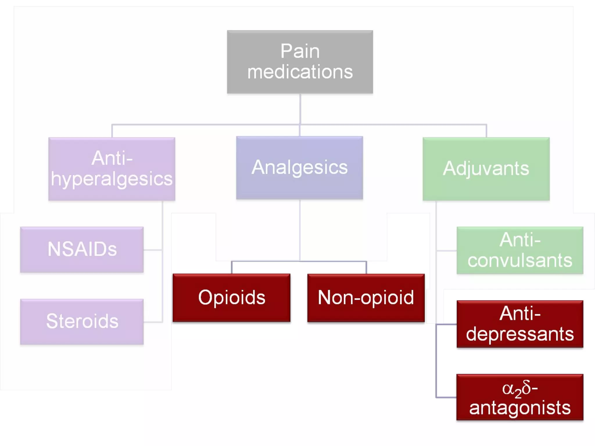 Mechanism of action of analgesics (2012) | PDF