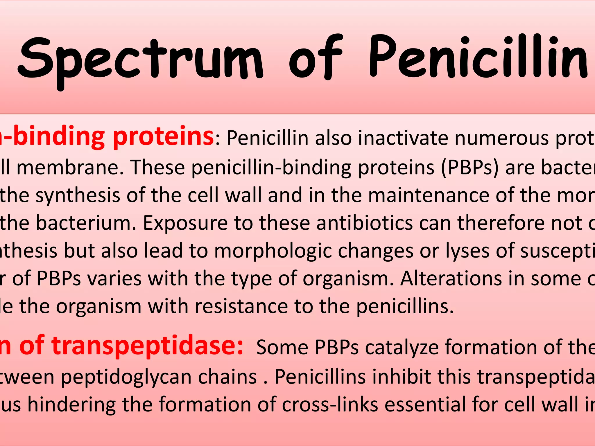 Mechanism of action of antibiotics | PPTX