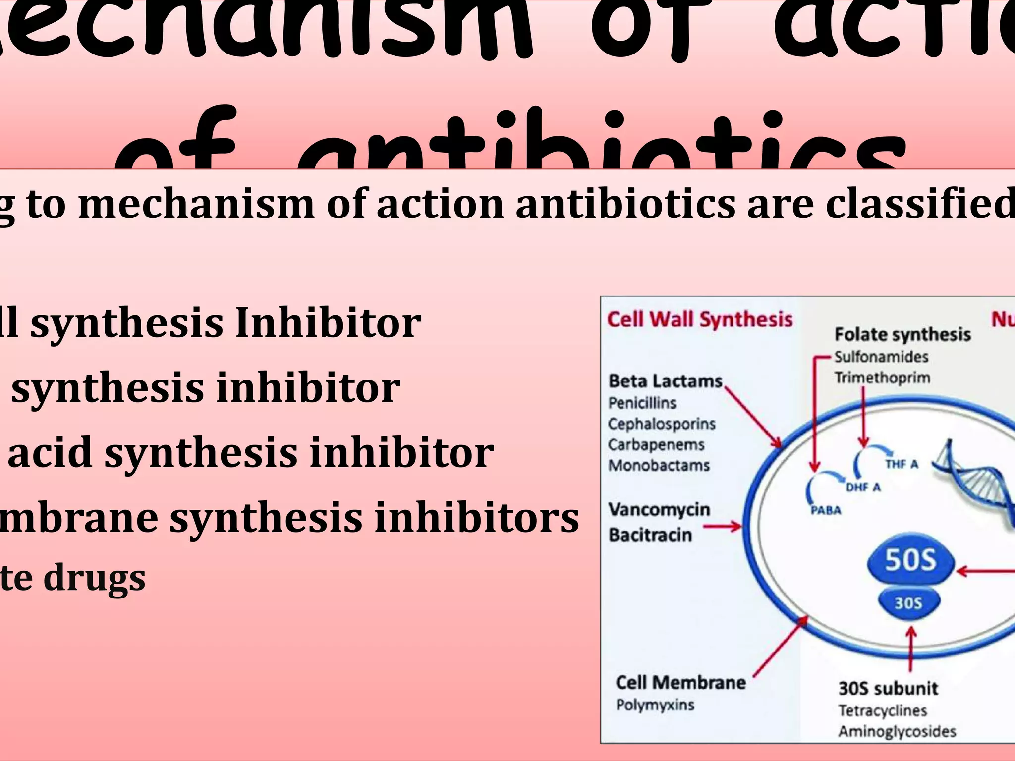 Mechanism of action of antibiotics | PPTX