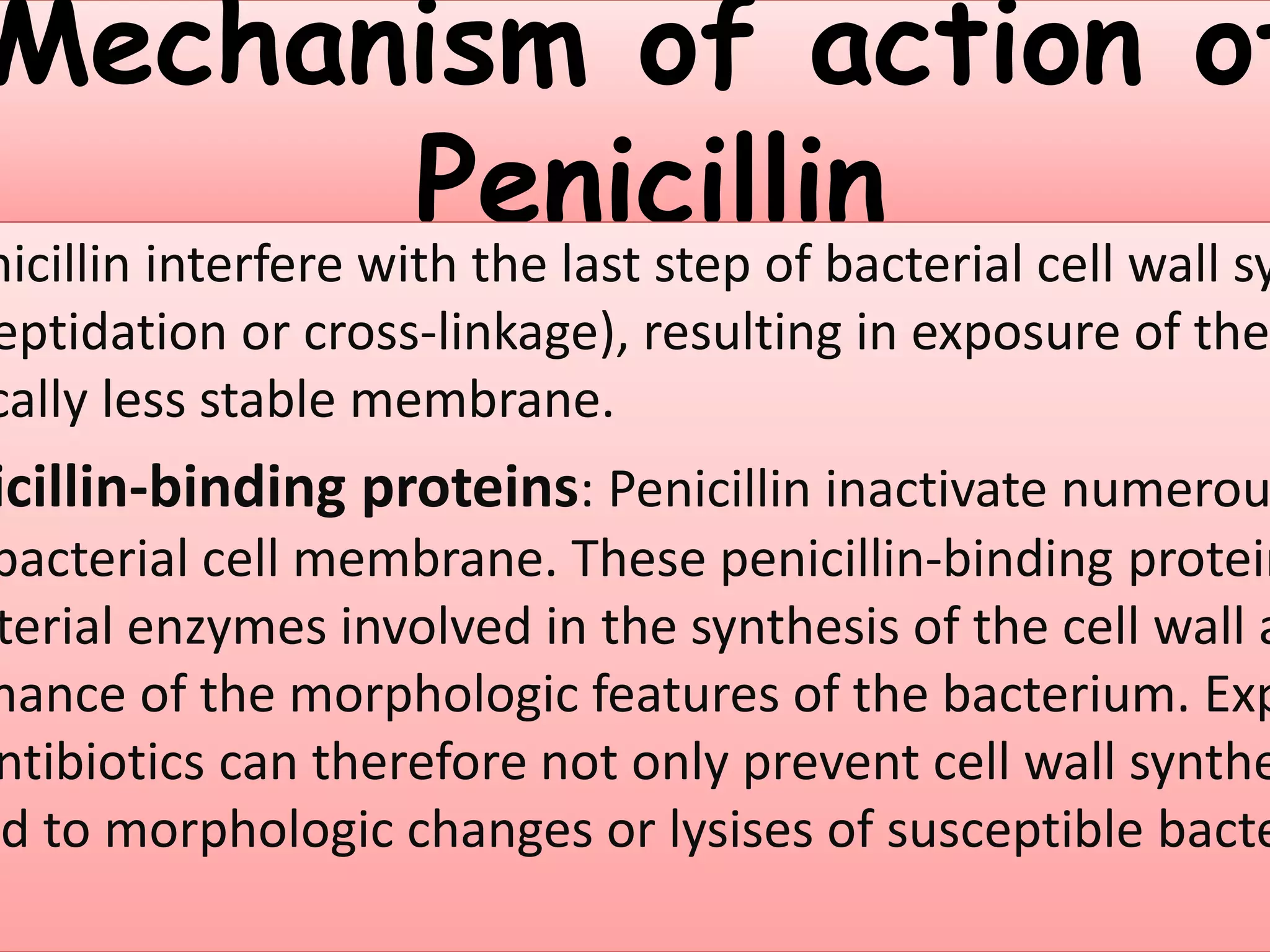 Mechanism of action of antibiotics | PPTX