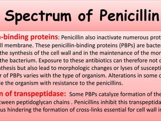 Mechanism of action of antibiotics | PPTX