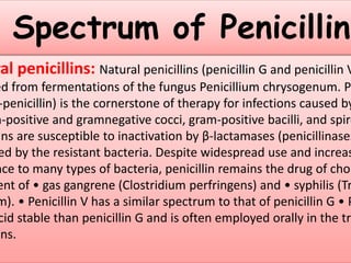 Mechanism of action of antibiotics | PPTX