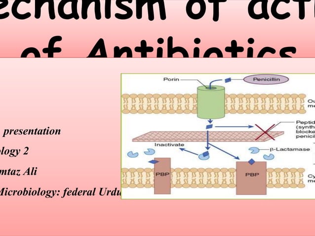 Mechanism of action of antibiotics | PPTX | Pharmaceutical Drugs ...