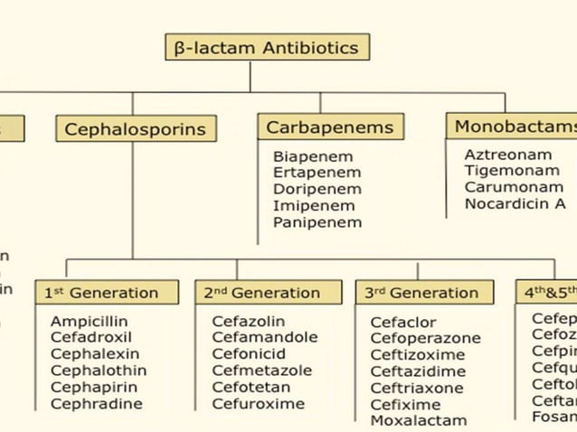 Mechanism of action of antibiotics | PPTX | Pharmaceutical Drugs ...
