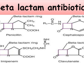Mechanism of action of antibiotics | PPTX
