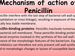 Mechanism of action of antibiotics | PPTX