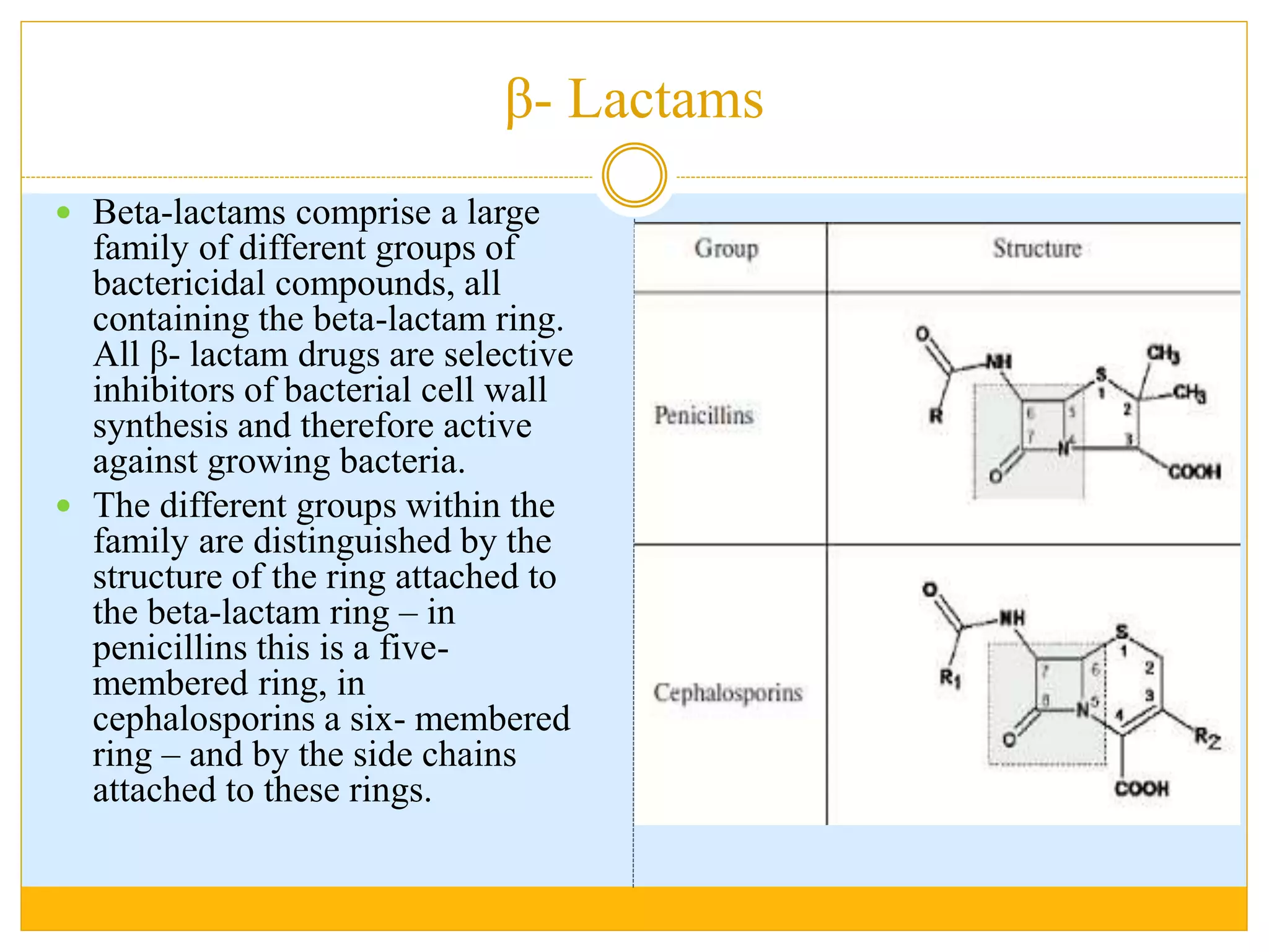 MECHANISM OF ACTION OF BETA-LACTAM ANTIBIOTICS (1).pptx