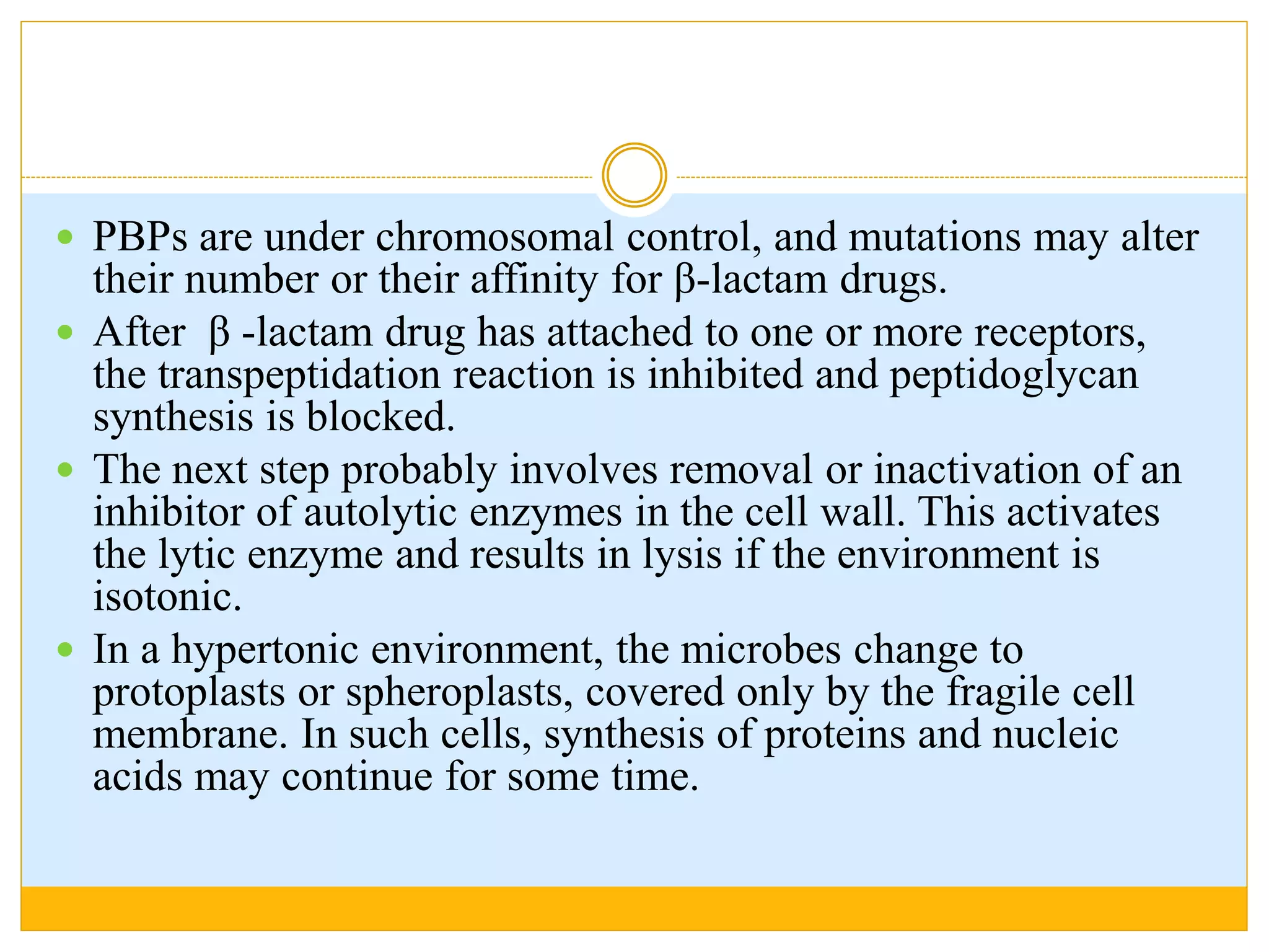 MECHANISM OF ACTION OF BETA-LACTAM ANTIBIOTICS (1).pptx