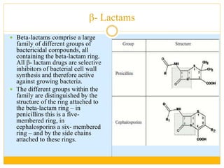 MECHANISM OF ACTION OF BETA-LACTAM ANTIBIOTICS (1).pptx