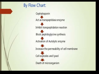 MECHANISM OF ACTION OF BETA-LACTAM ANTIBIOTICS (1).pptx