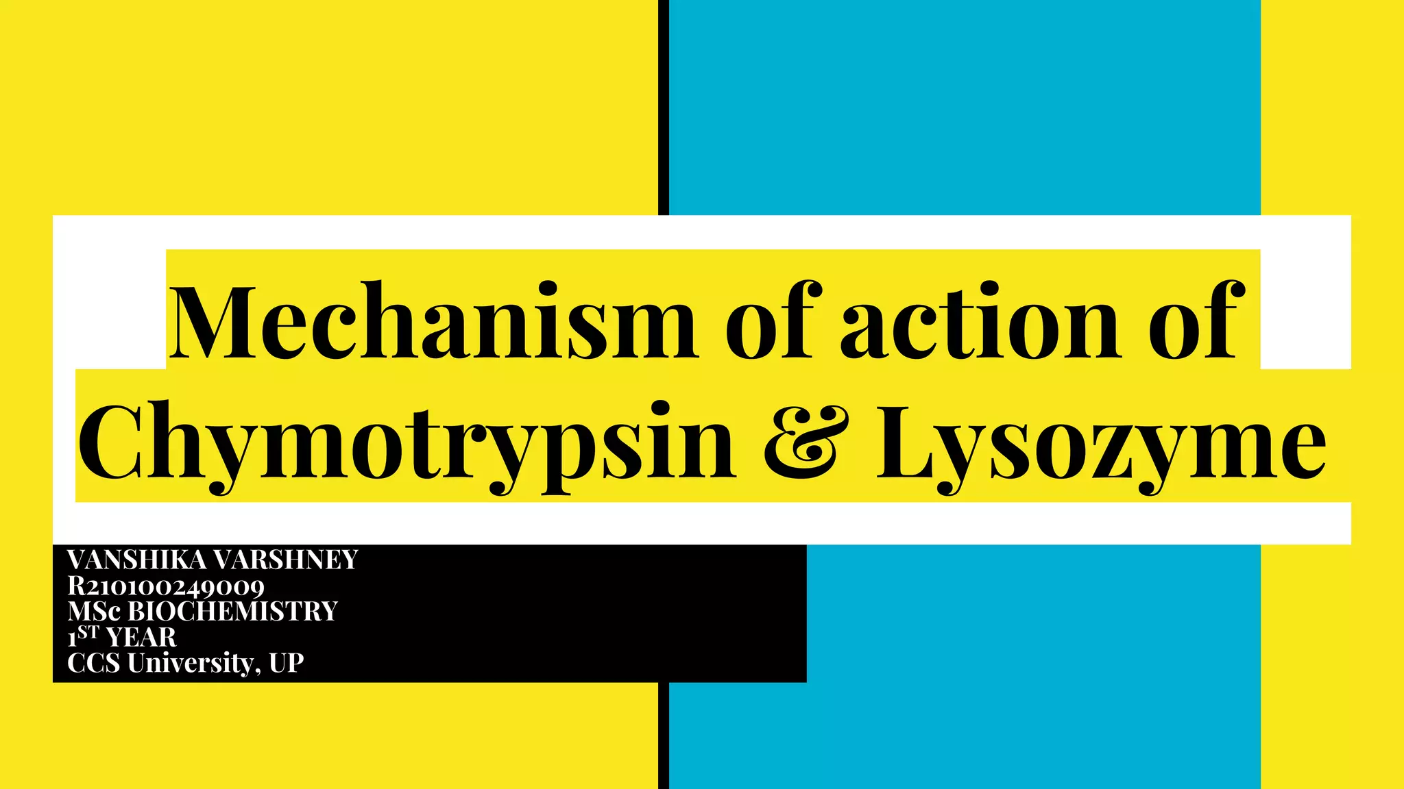 Mechanism of action of Chymotrypsin & Lysozyme.pptx