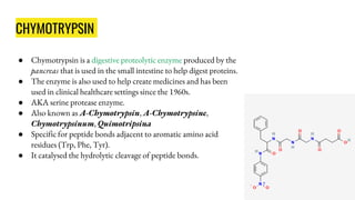 Structure Of Chymotrypsin