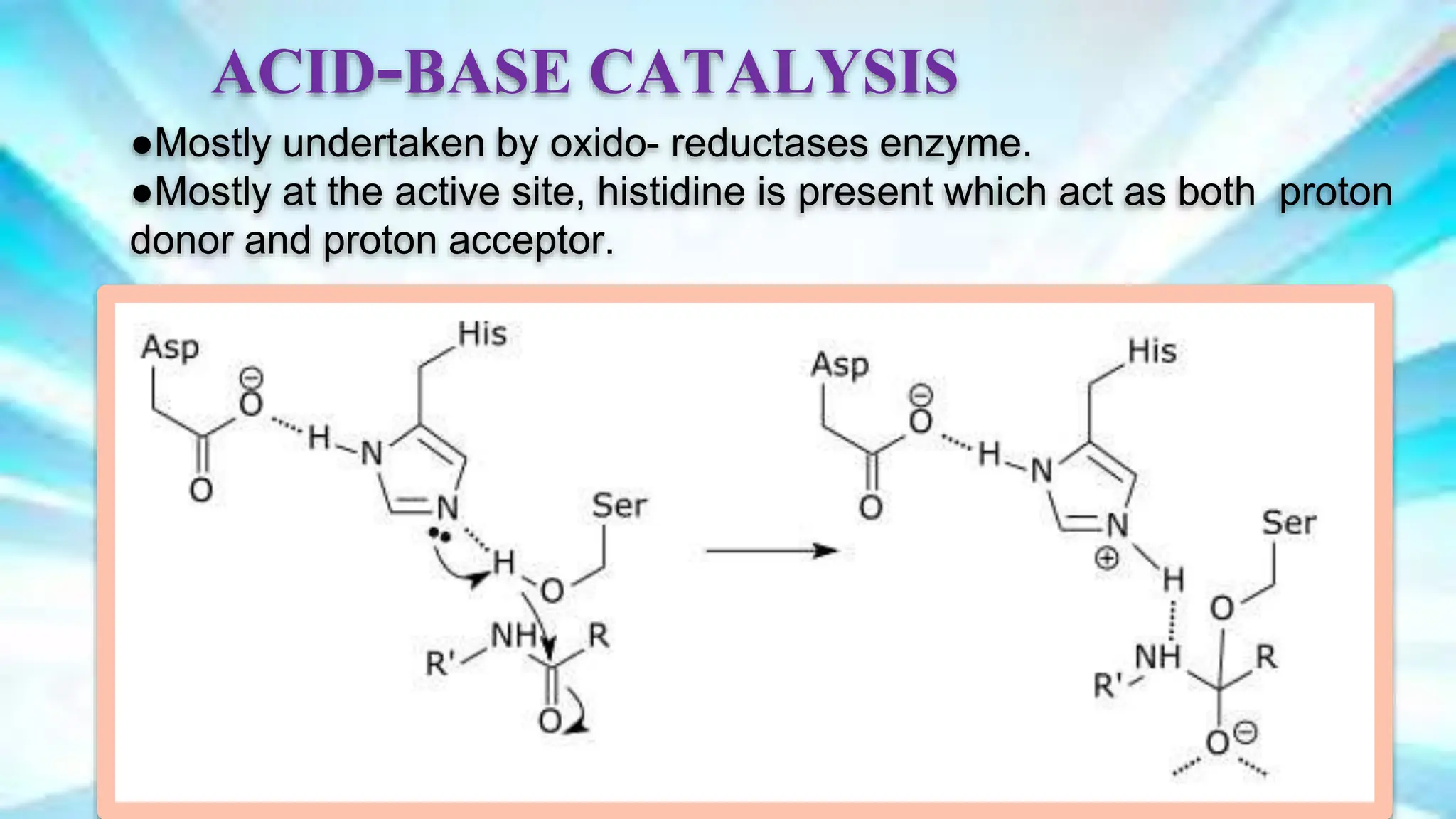 Mechanism of action of enzymes and Biological and pharmaceutical ...