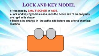 Mechanism of action of enzymes and Biological and pharmaceutical ...
