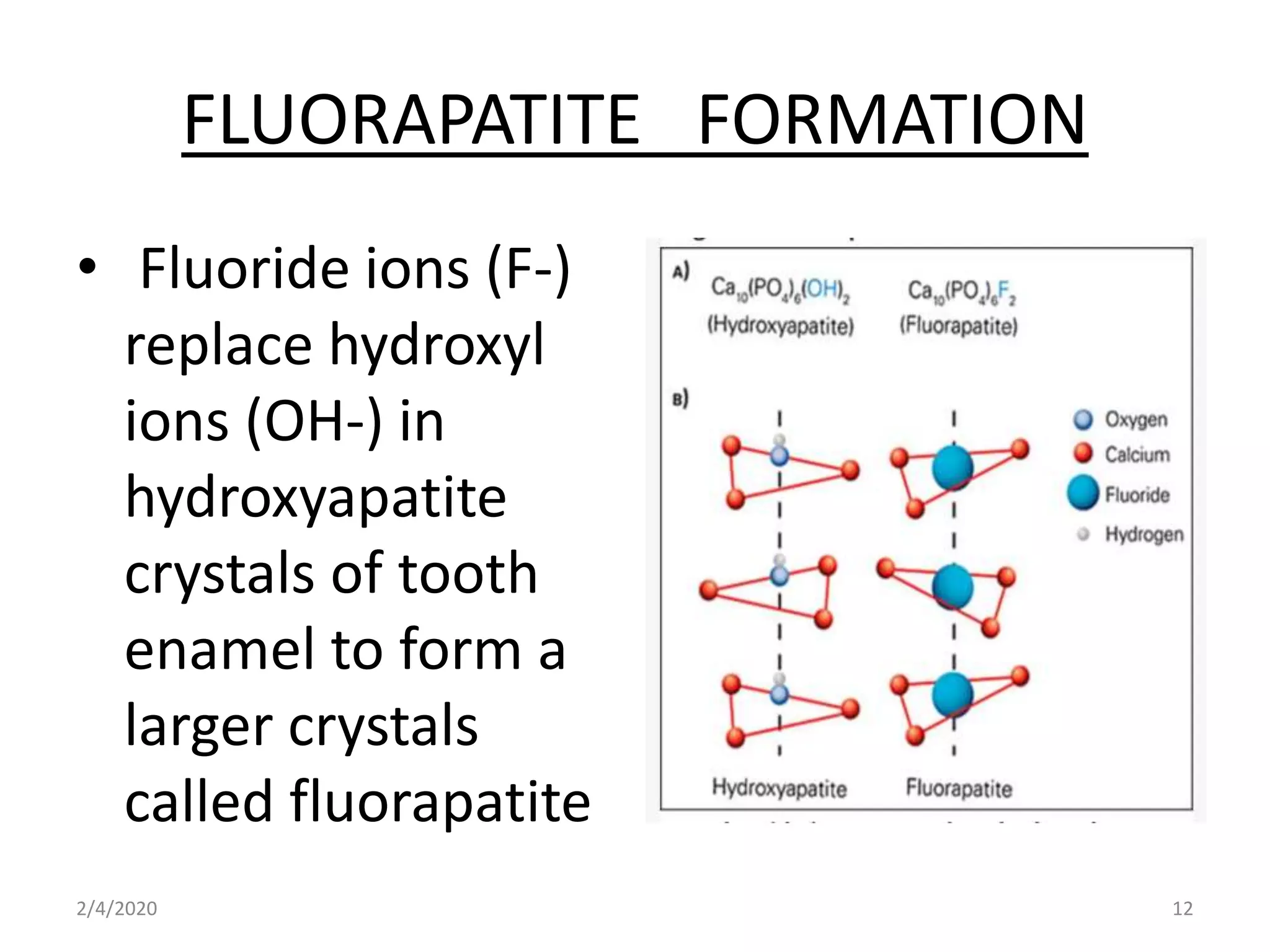 Mechanism of action of fluorides | PPTX