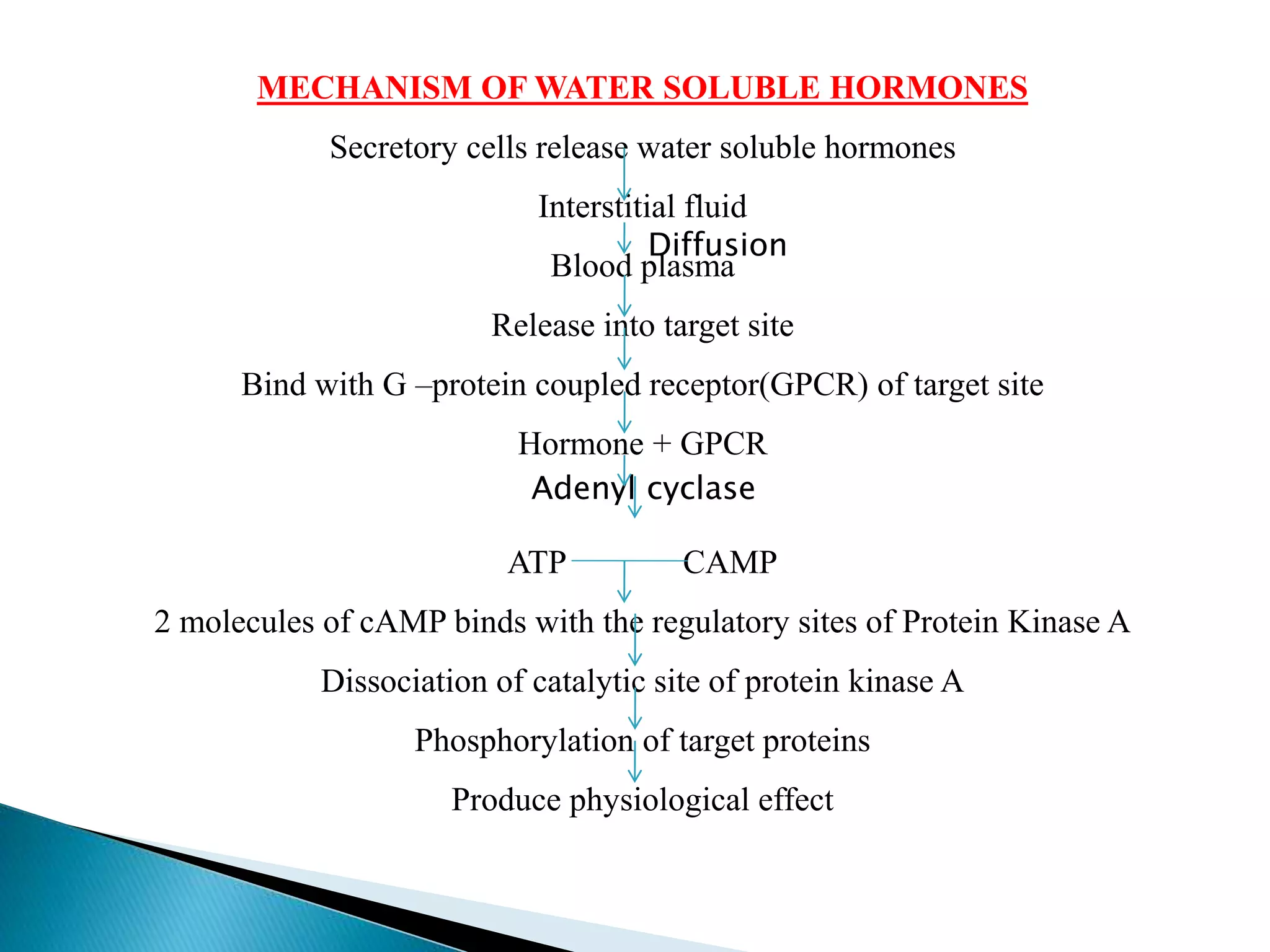 Mechanism of action of hormone | PPTX