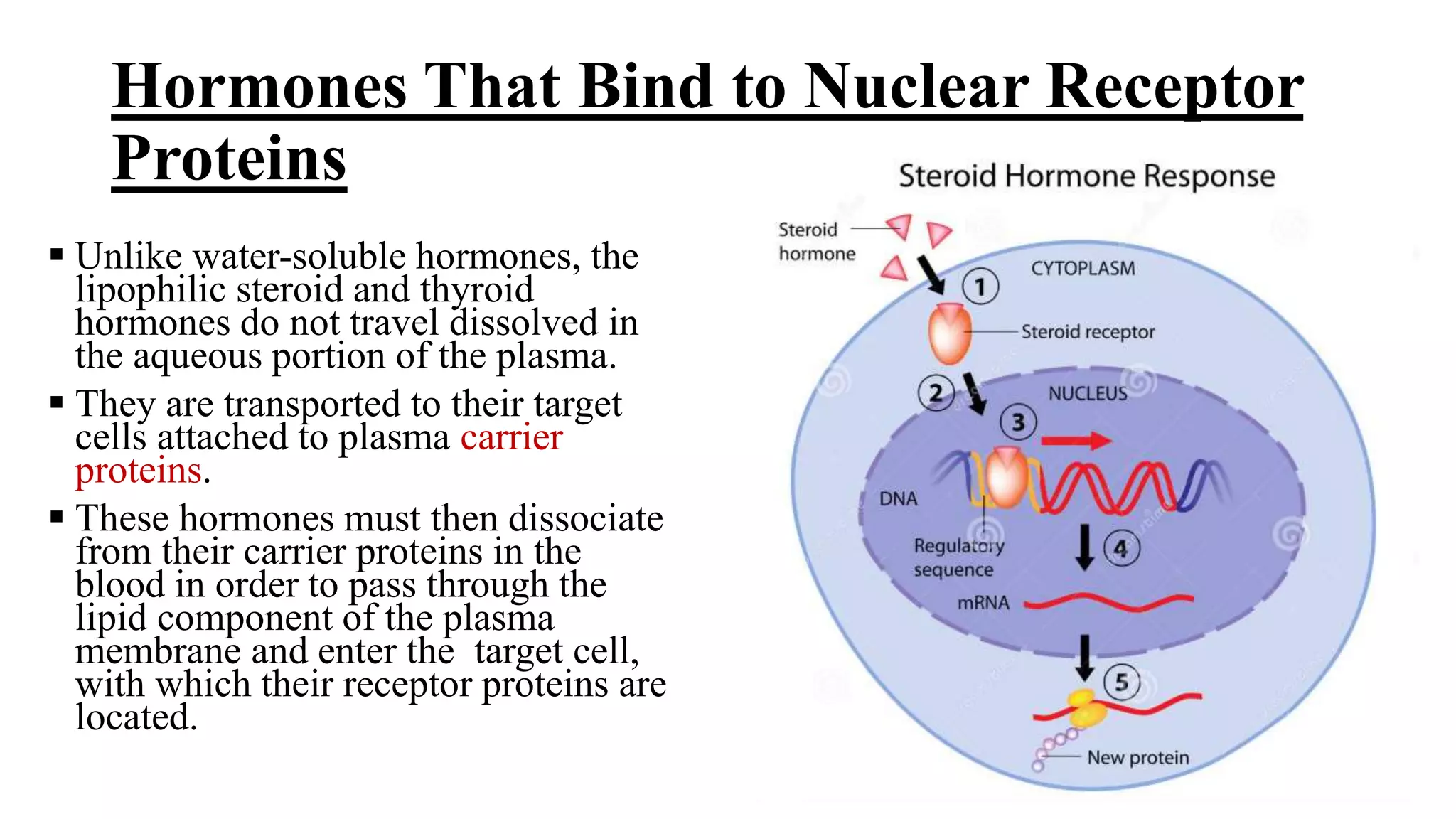 Mechanism of action of hormone.pptx