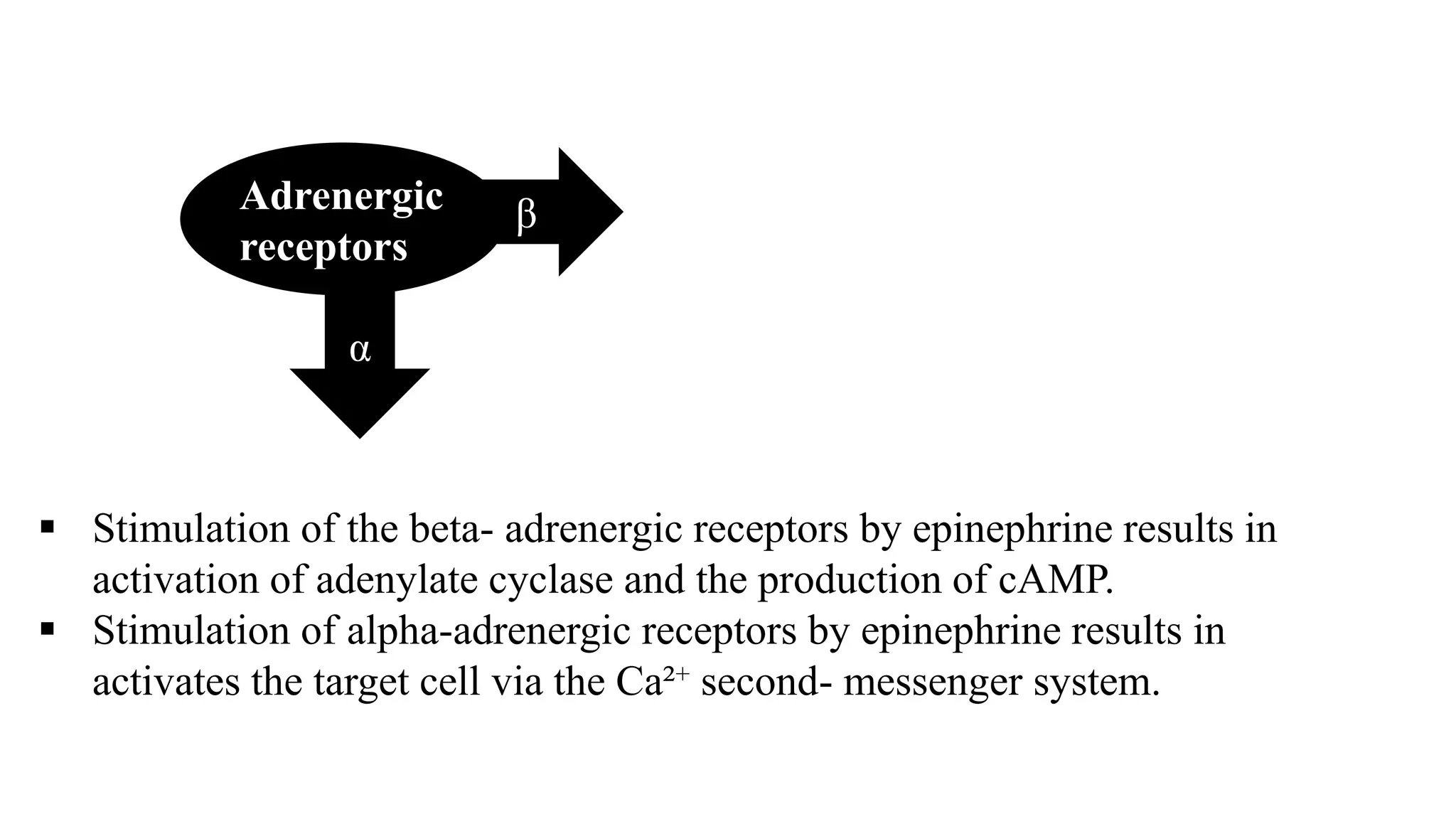 Mechanism of action of hormone.pptx