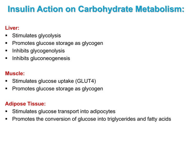 mechanismofactionofinsulin11-190623063339.pdf