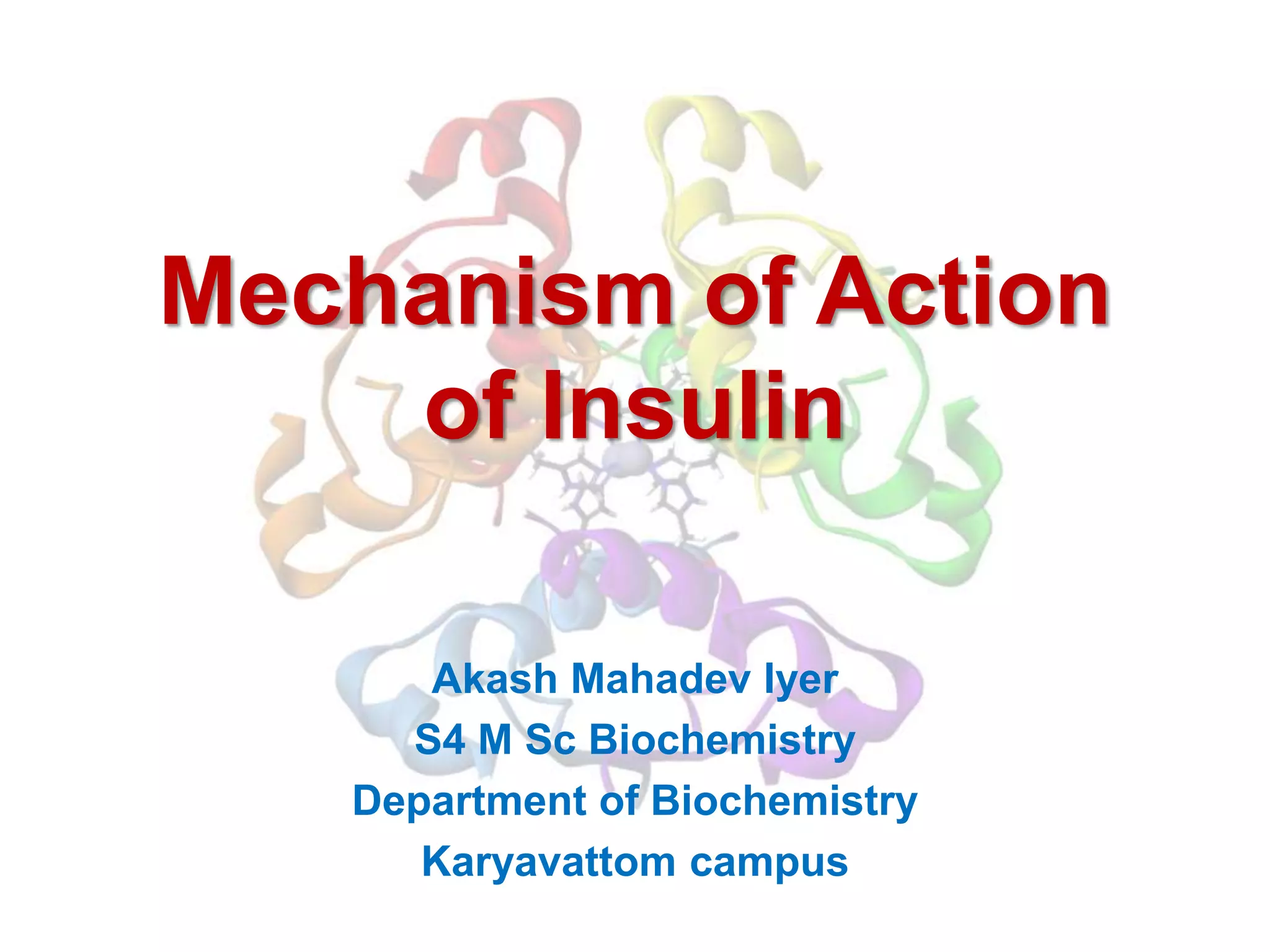 Mechanism of action of insulin | PPTX