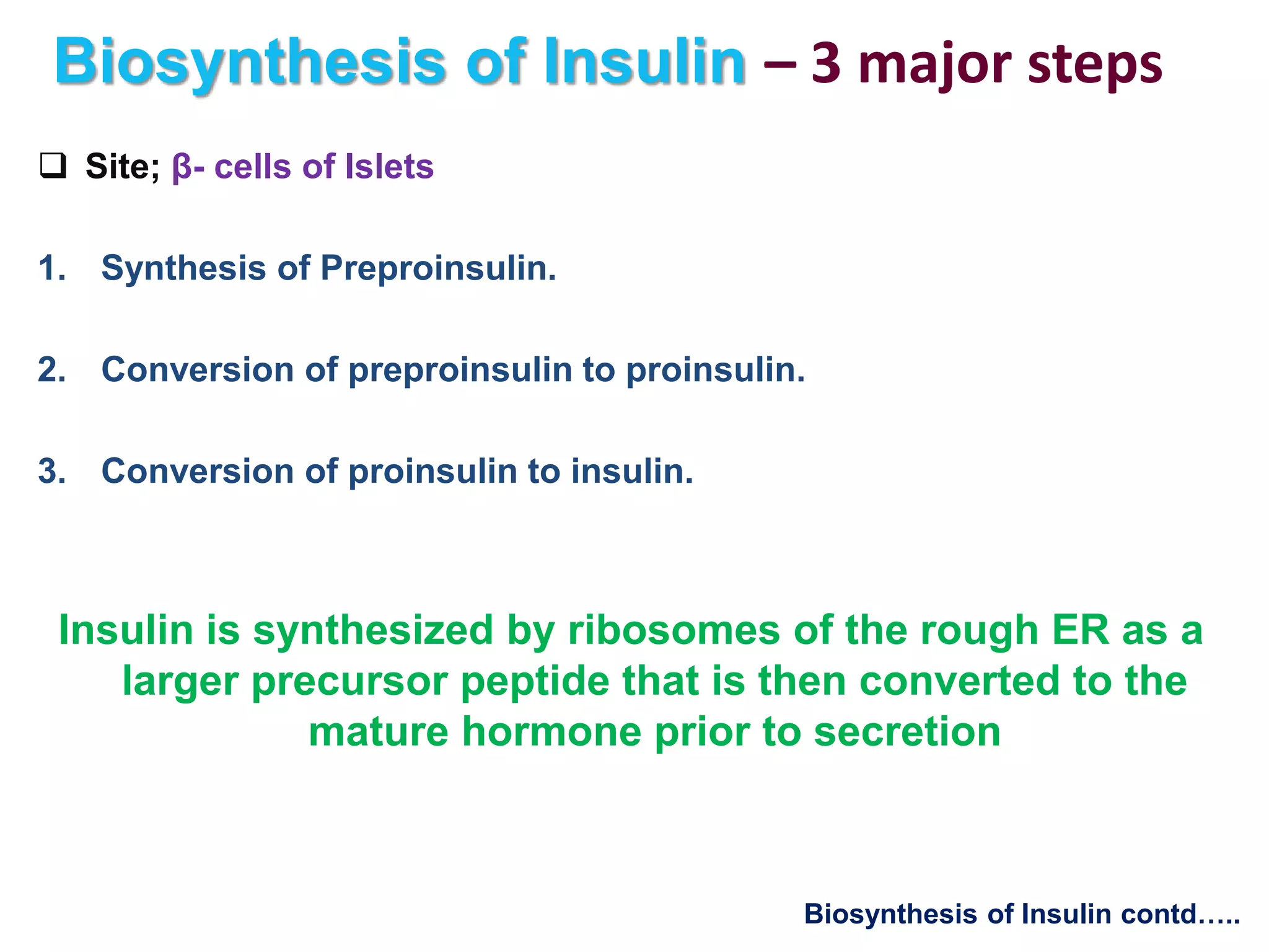 Mechanism of action of insulin | PPTX