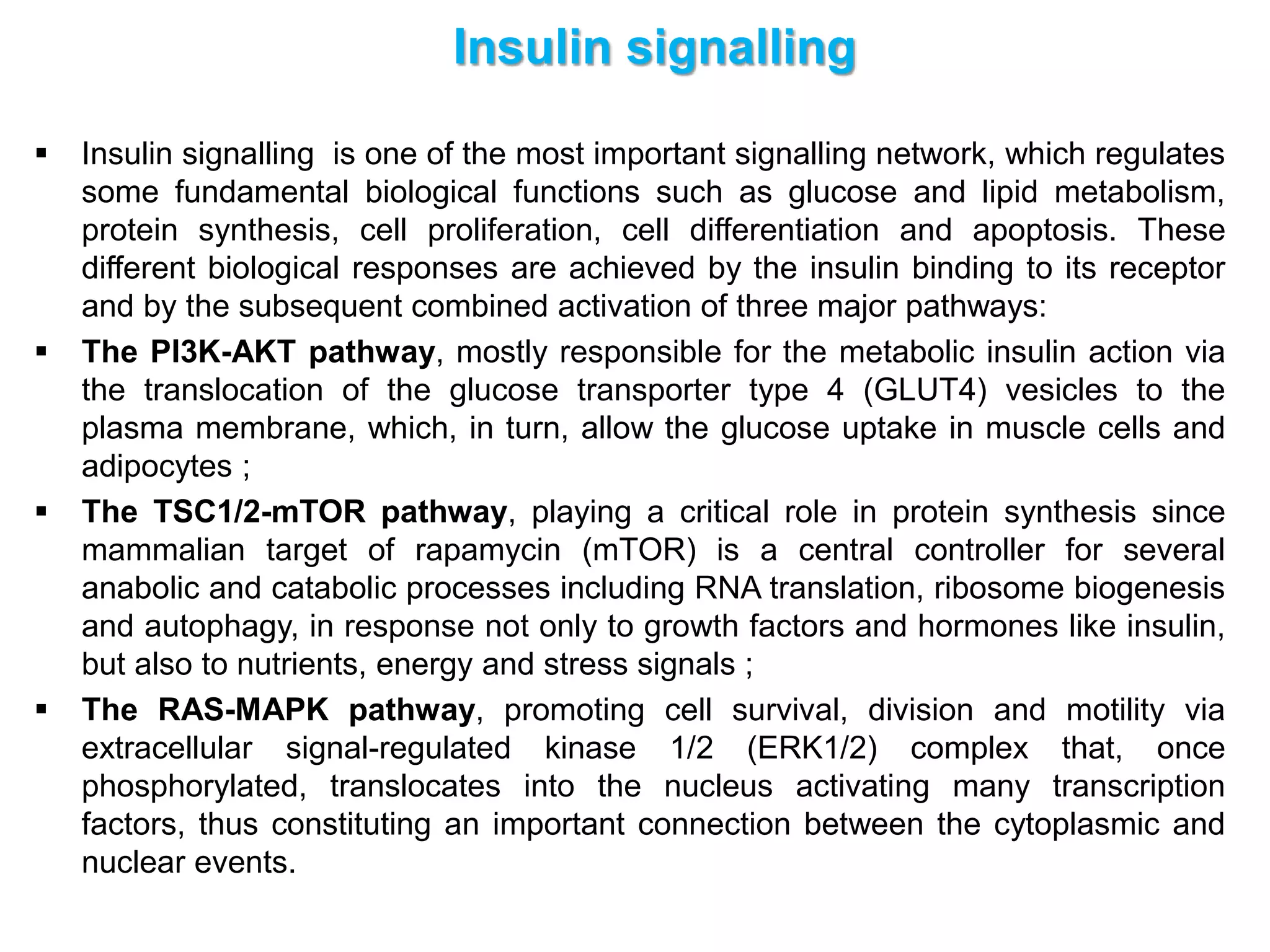 Mechanism of action of insulin | PPTX