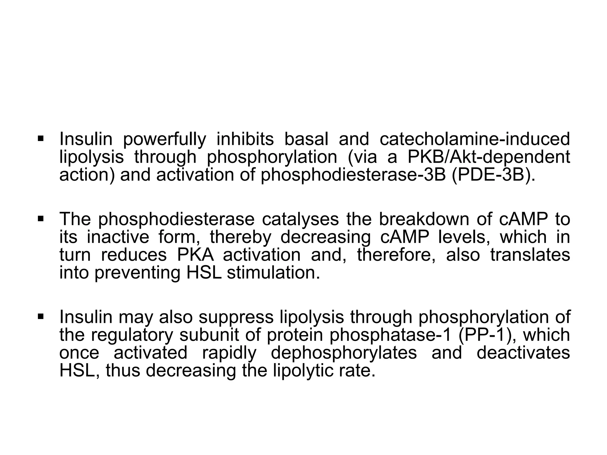 Mechanism of action of insulin | PPTX