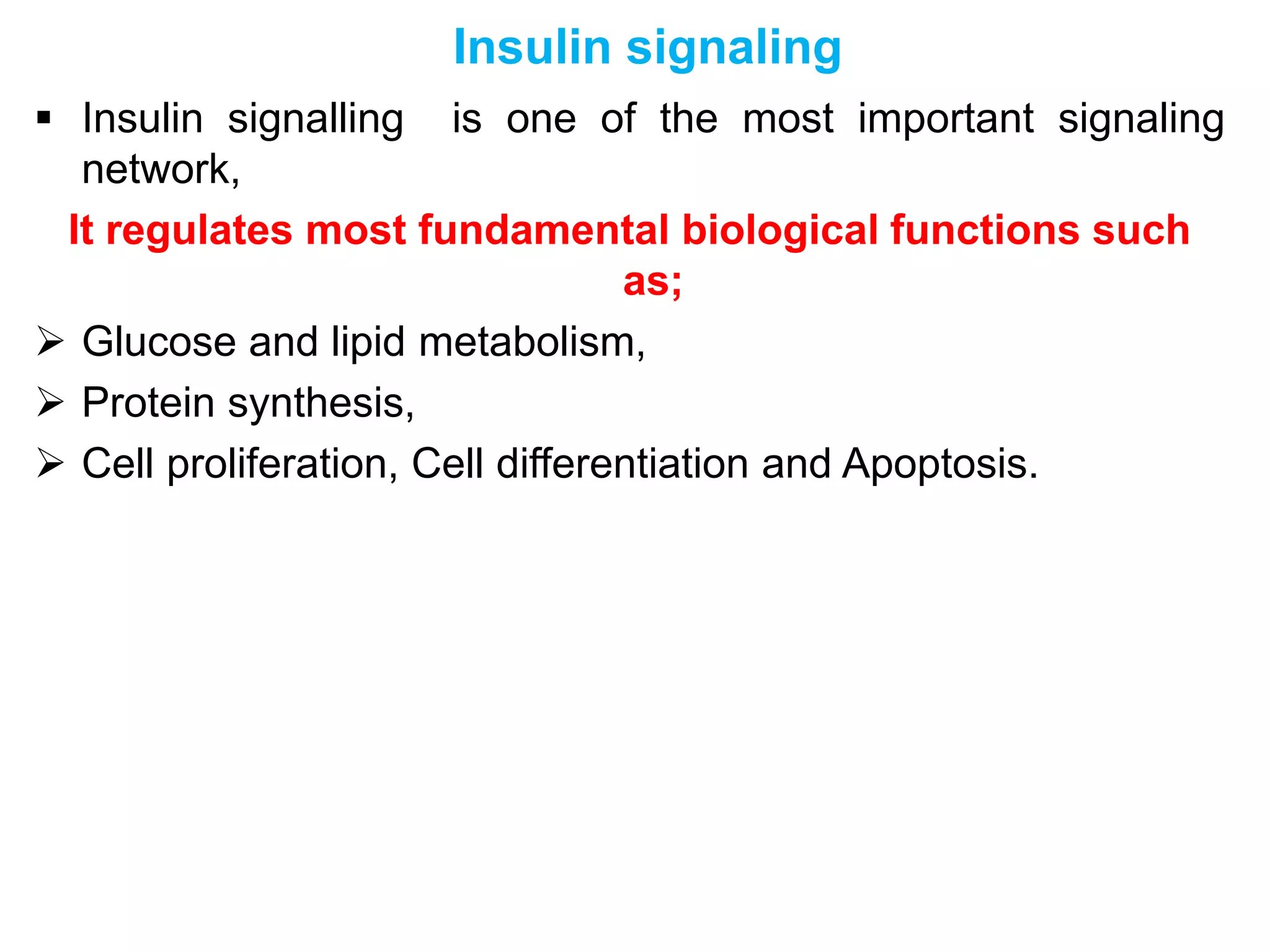 Mechanism of action of insulin | PPTX
