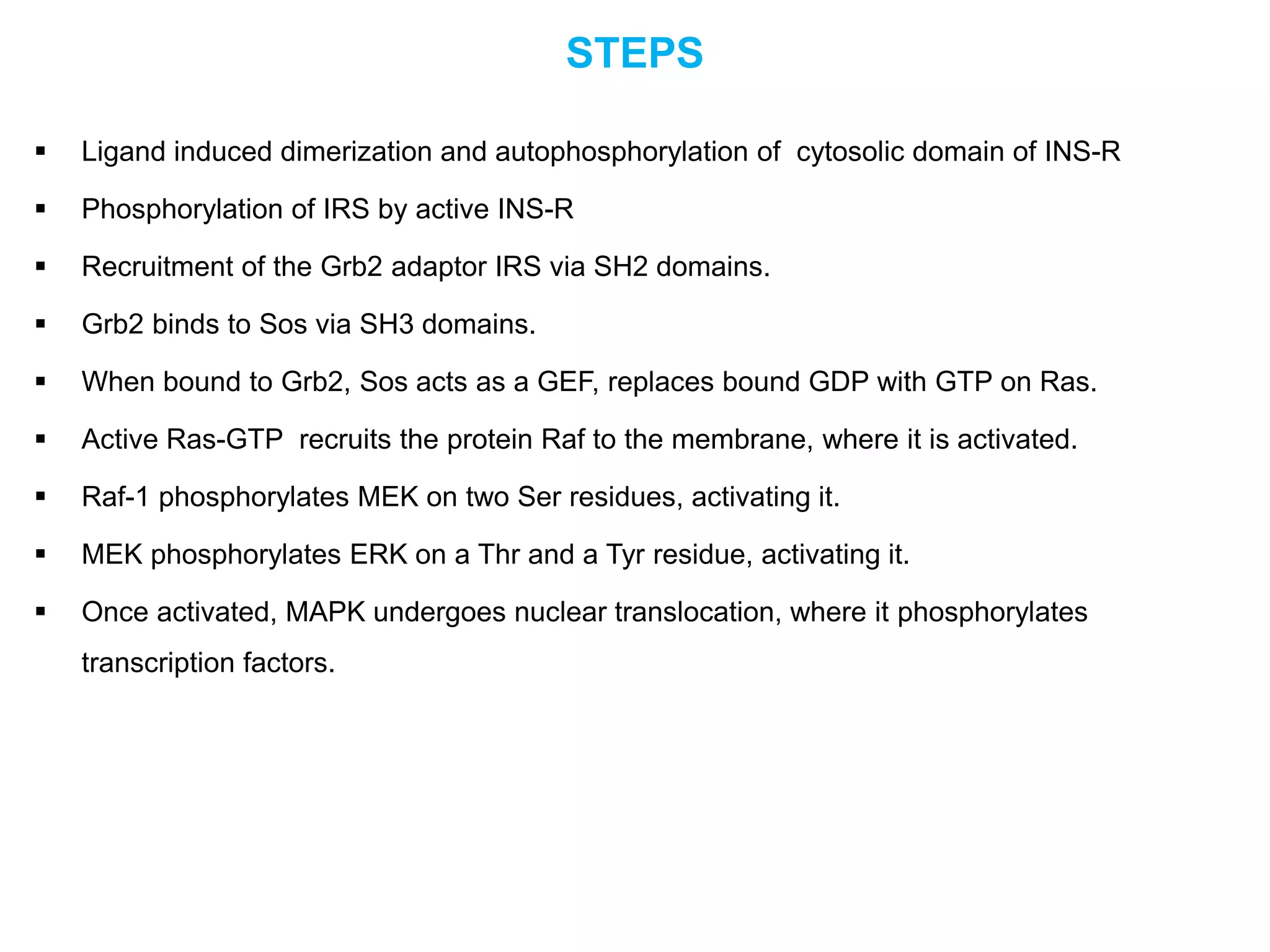 Mechanism of action of insulin | PPTX