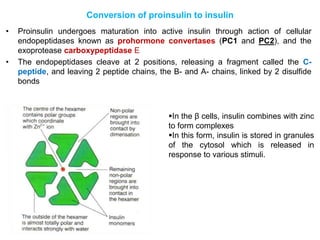 Mechanism of action of insulin | PPTX