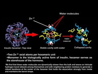 Mechanism of action of insulin | PPTX