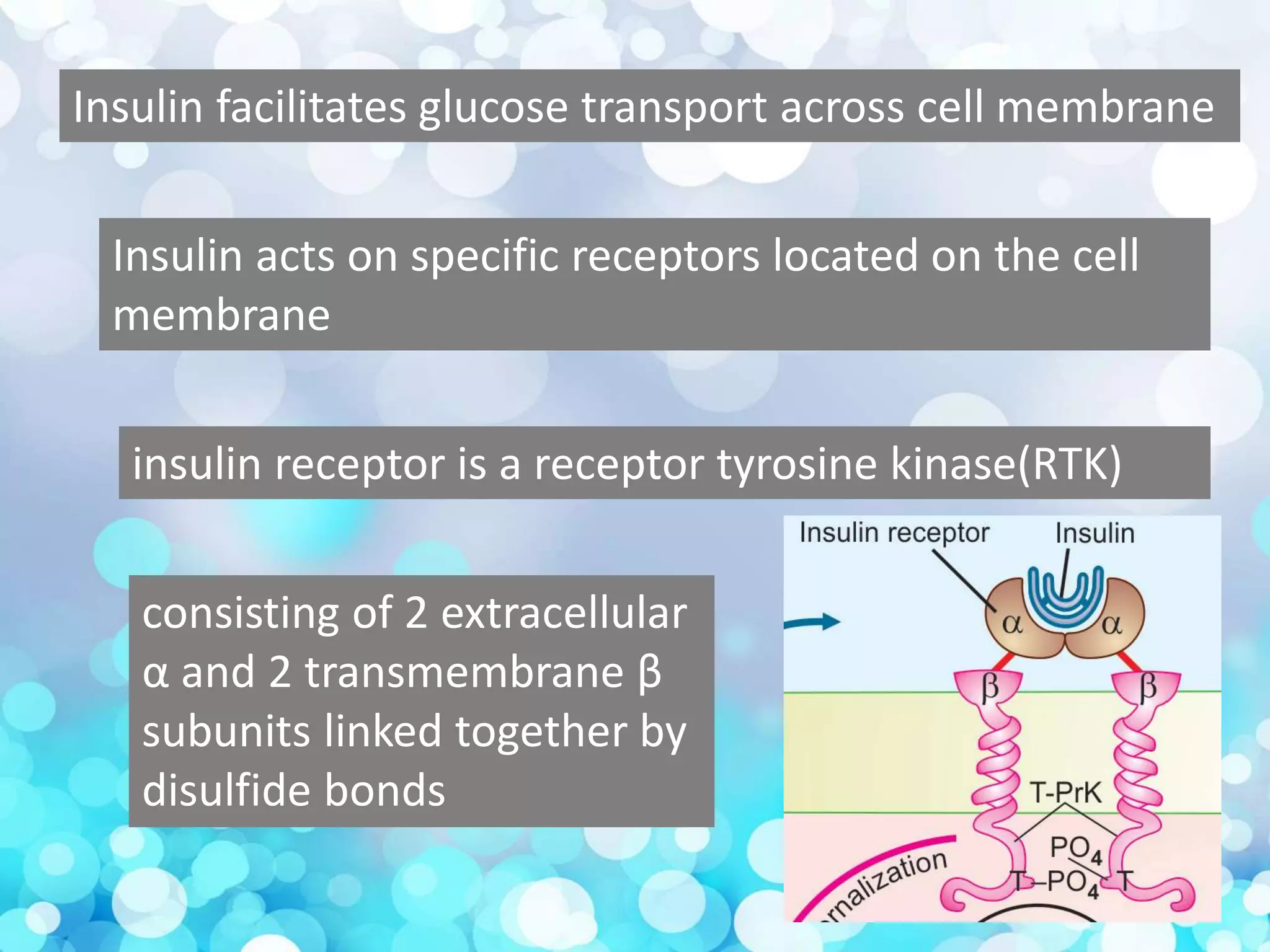 Mechanism of action of insulin | PPTX