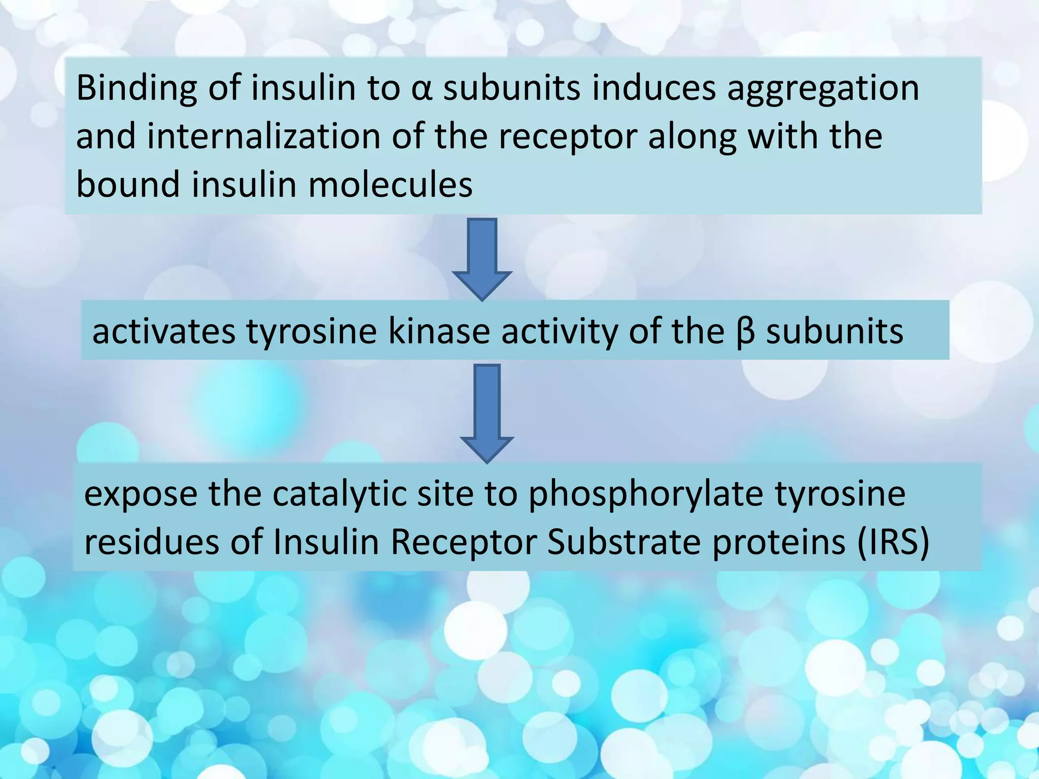 Mechanism of action of insulin | PPTX
