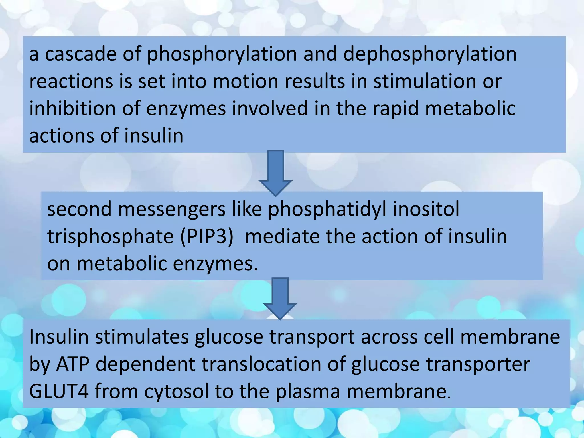 Mechanism of action of insulin | PPTX