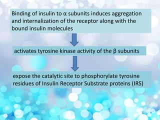 Mechanism of action of insulin | PPTX