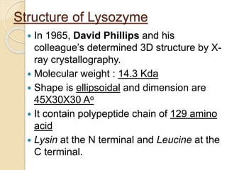 Mechanism of action of lysozyme | PPTX