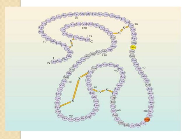 Mechanism of action of lysozyme | PPTX