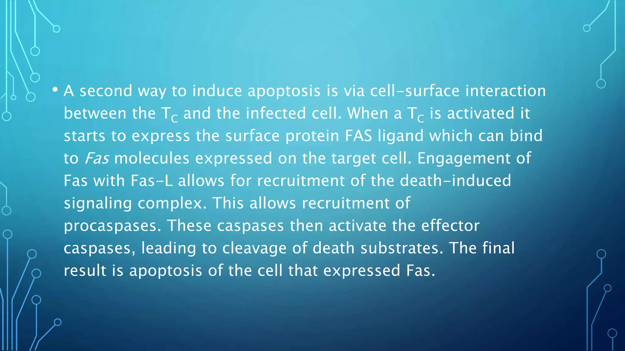 Mechanism of action of nk cells and cd8+ cells | PPTX