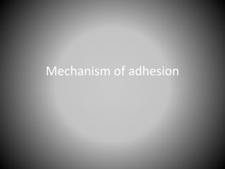 Mechanism of adhesion.pptx