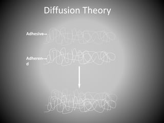 Mechanism of adhesion.pptx