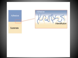 Mechanism of adhesion.pptx