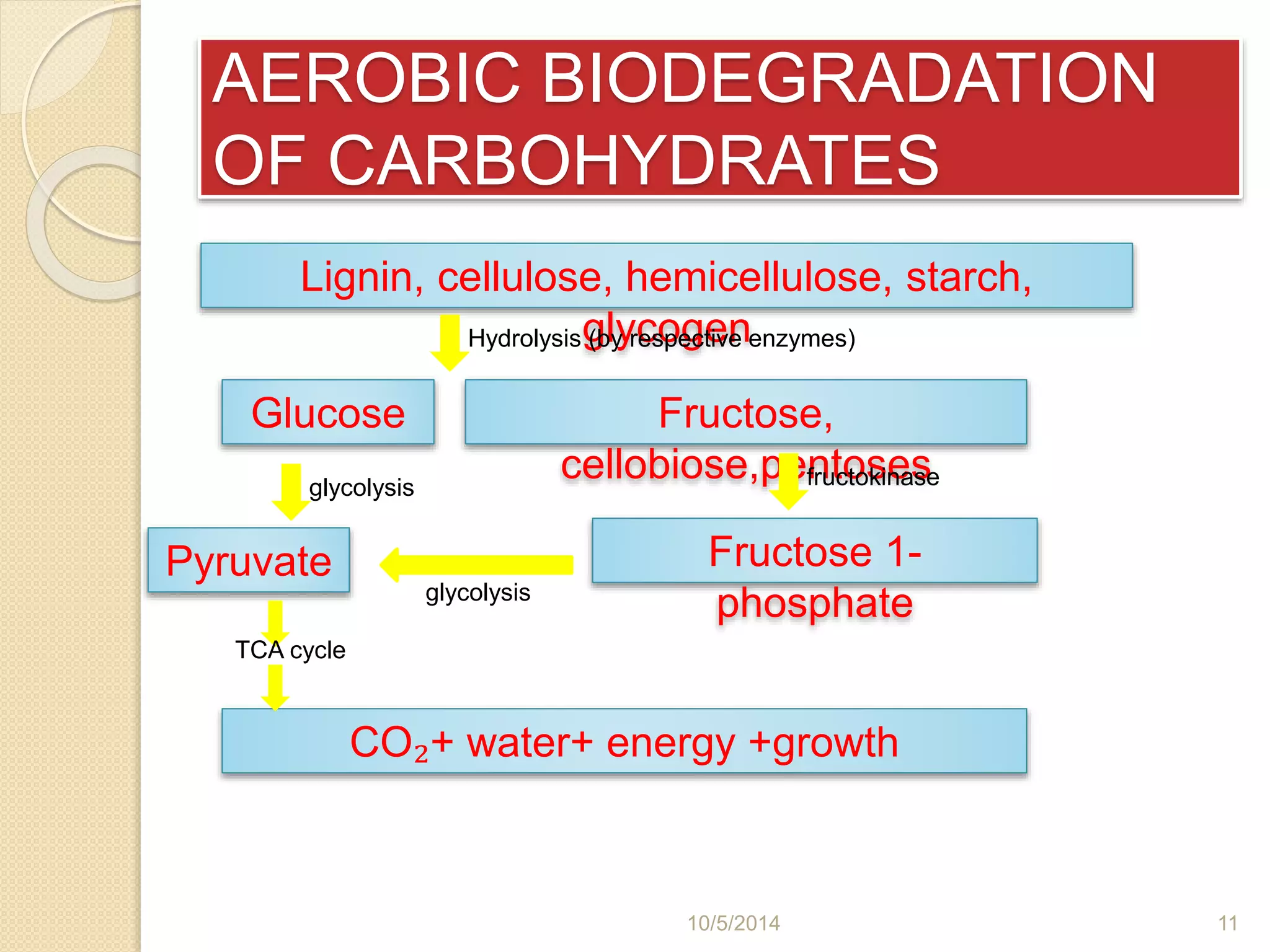 Mechanism of aerobic & an aerobic biodegradation | PPTX