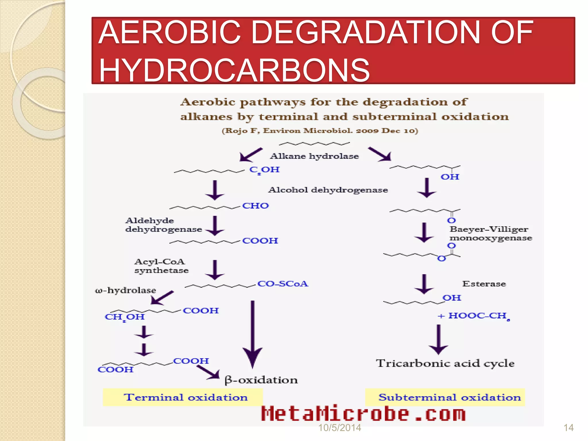 Mechanism of aerobic & an aerobic biodegradation | PPTX
