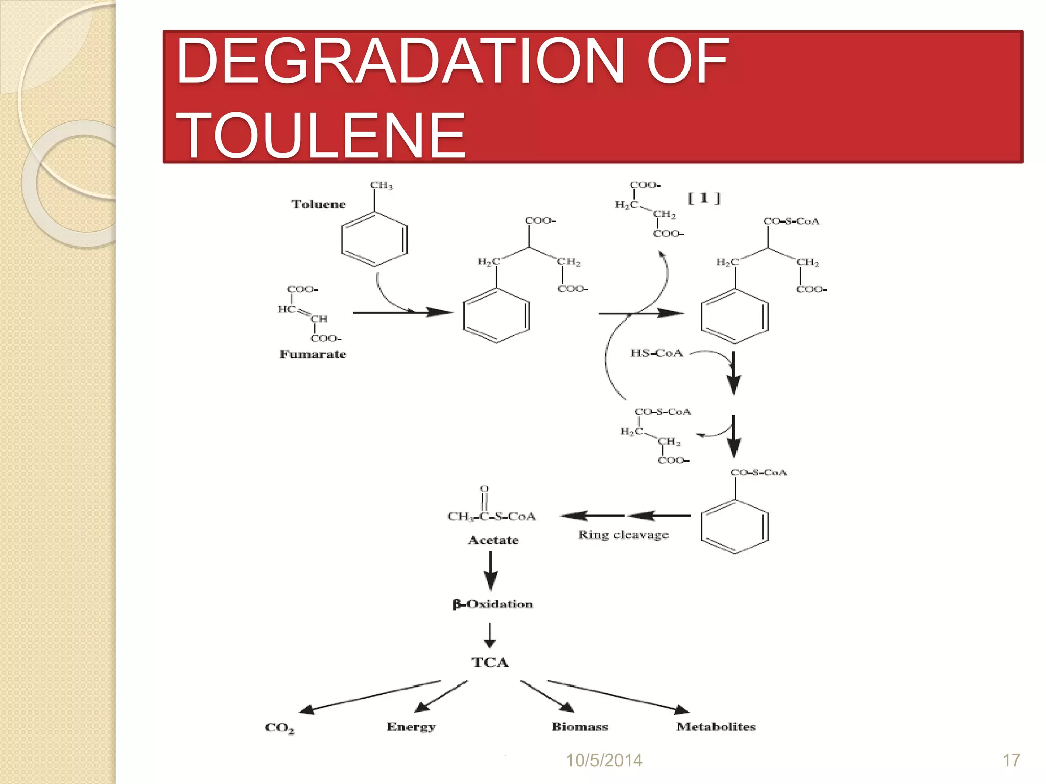 Mechanism of aerobic & an aerobic biodegradation | PPTX