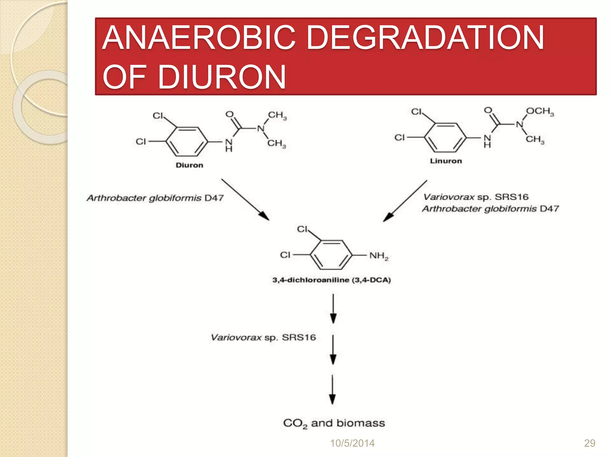 Mechanism of aerobic & an aerobic biodegradation | PPTX