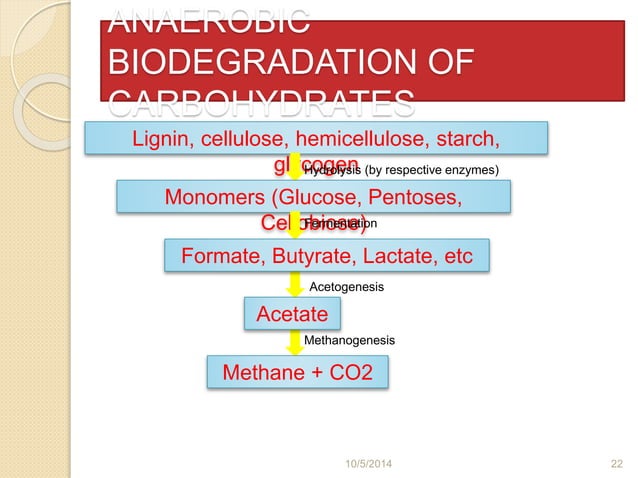 Mechanism of aerobic & an aerobic biodegradation | PPTX | Chemistry ...