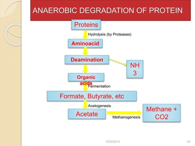 Mechanism of aerobic & an aerobic biodegradation | PPTX | Chemistry ...