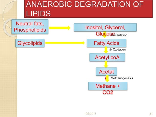 Mechanism of aerobic & an aerobic biodegradation | PPTX | Chemistry ...